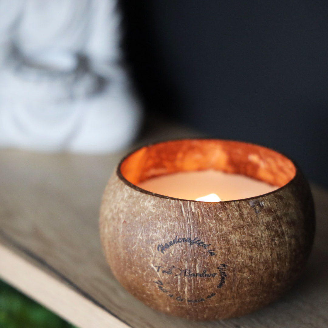 Coco Zen Candle Treo Bamboo | ProÉcolo – ProEcolo